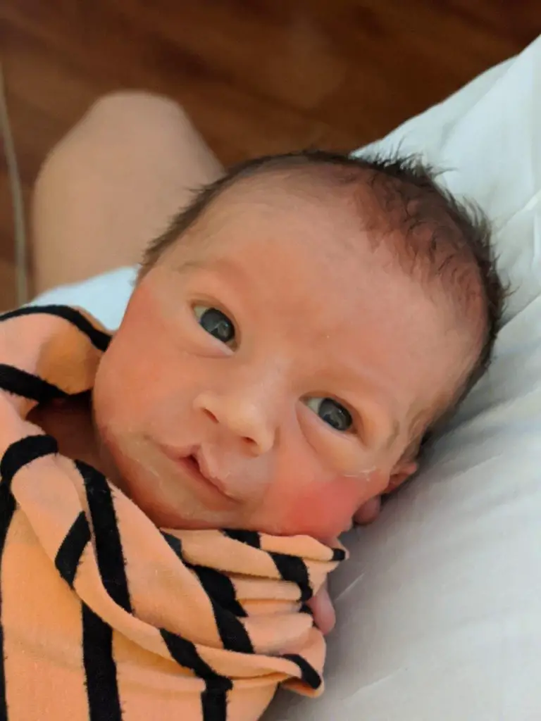 How to Overcome Setbacks in Life and Get Back to Your Goals